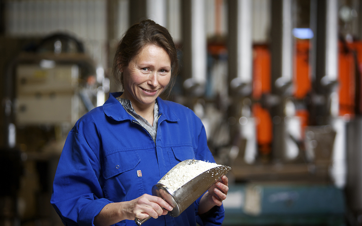 Fish bones colour salmon muscle red - Nofima