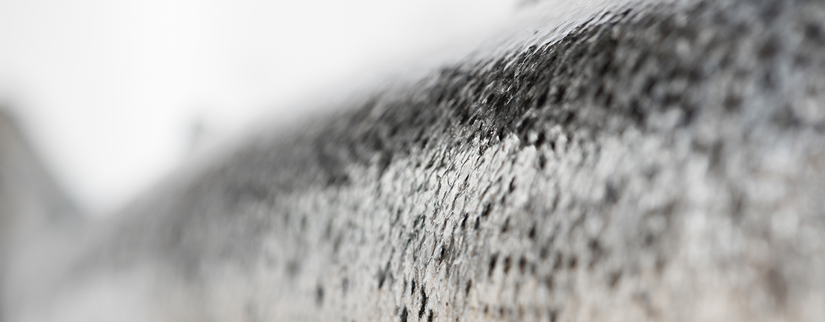 Fish skin and its protective properties - Nofima