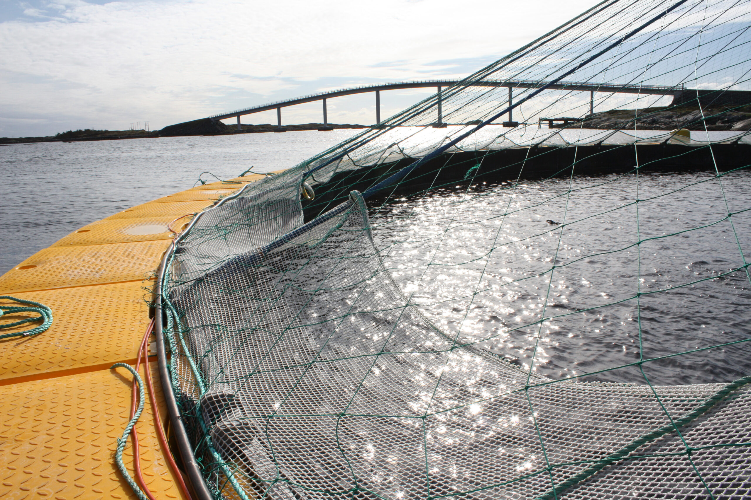 Is closed containment aquaculture the only solution? - Nofima