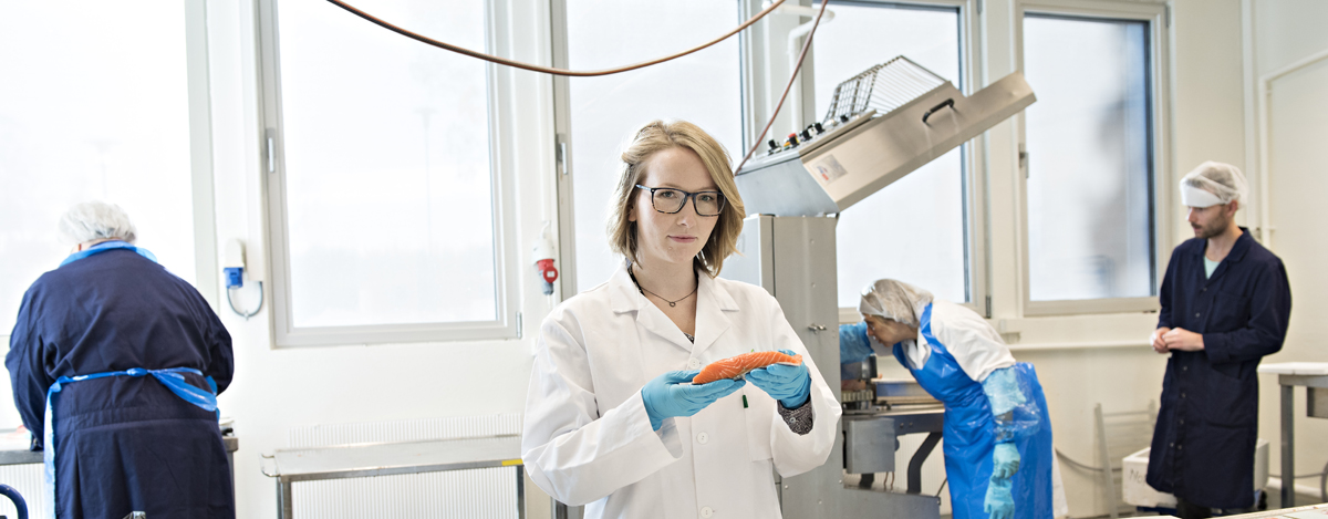 More omega-3 in salmon through breeding - Nofima