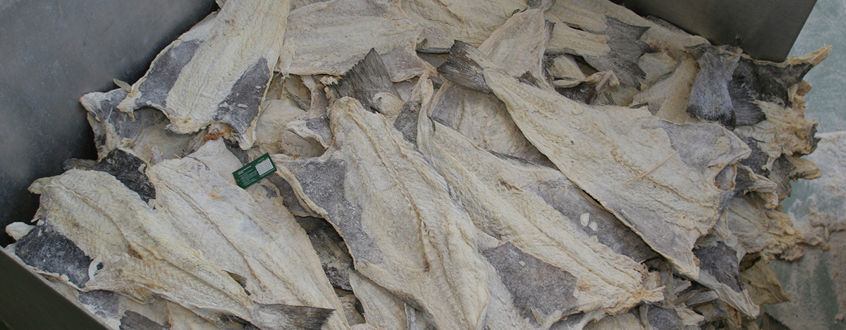 Shelf life of salt-cured fish - Nofima