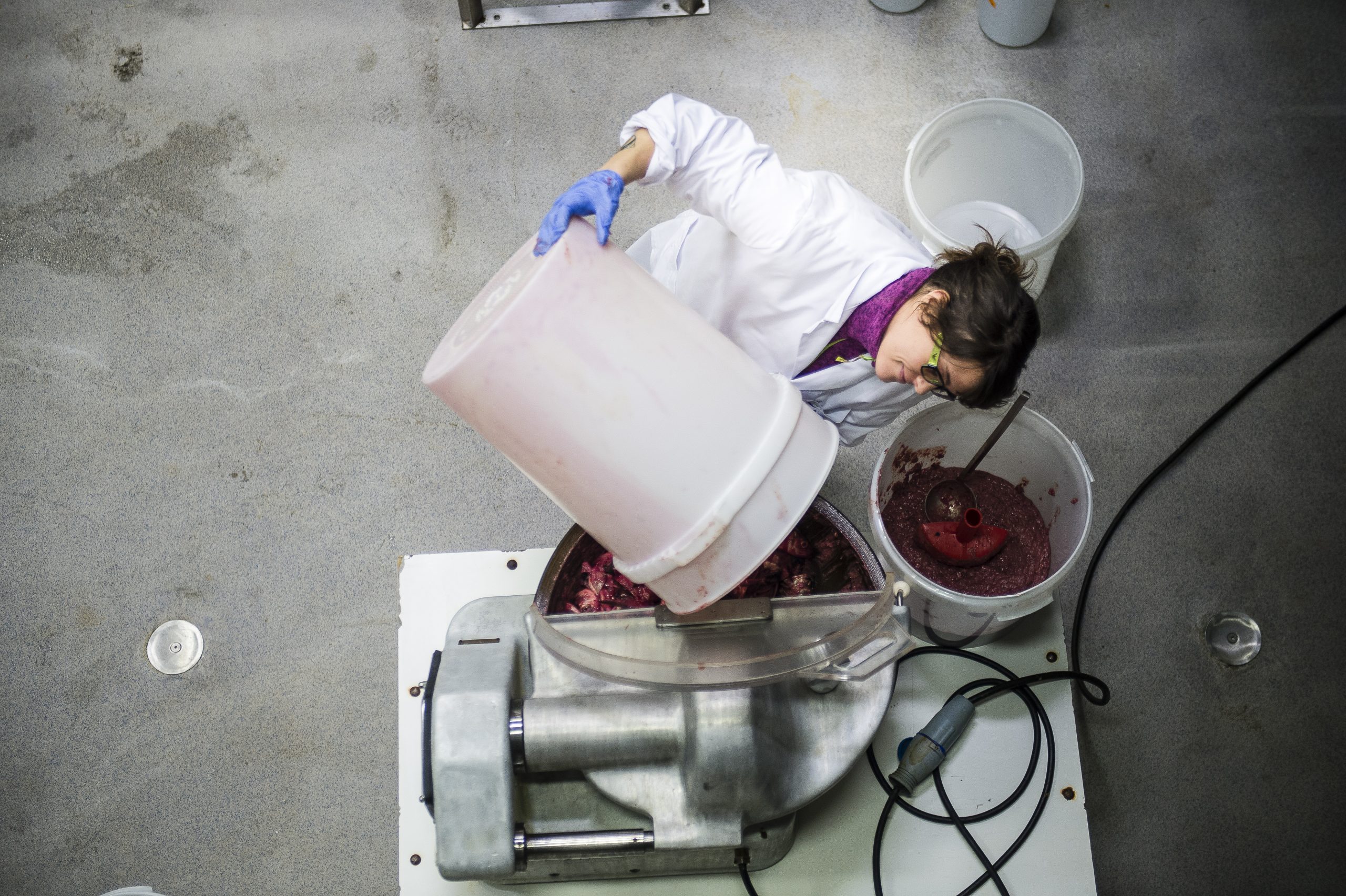 Increasingly closer to removing flavour from fish offcuts - Nofima