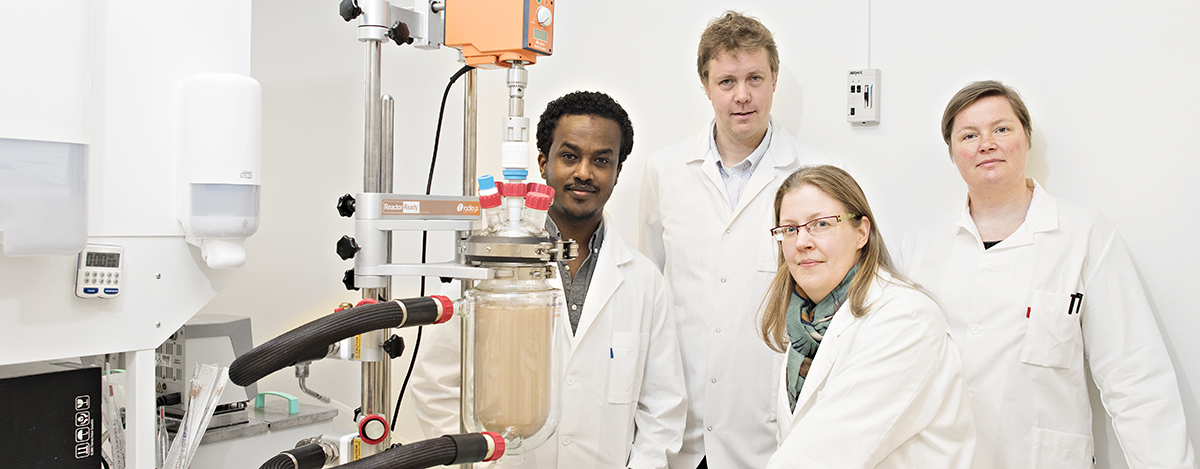 Smart sensor and optimisation systems for future food biorefineries ...