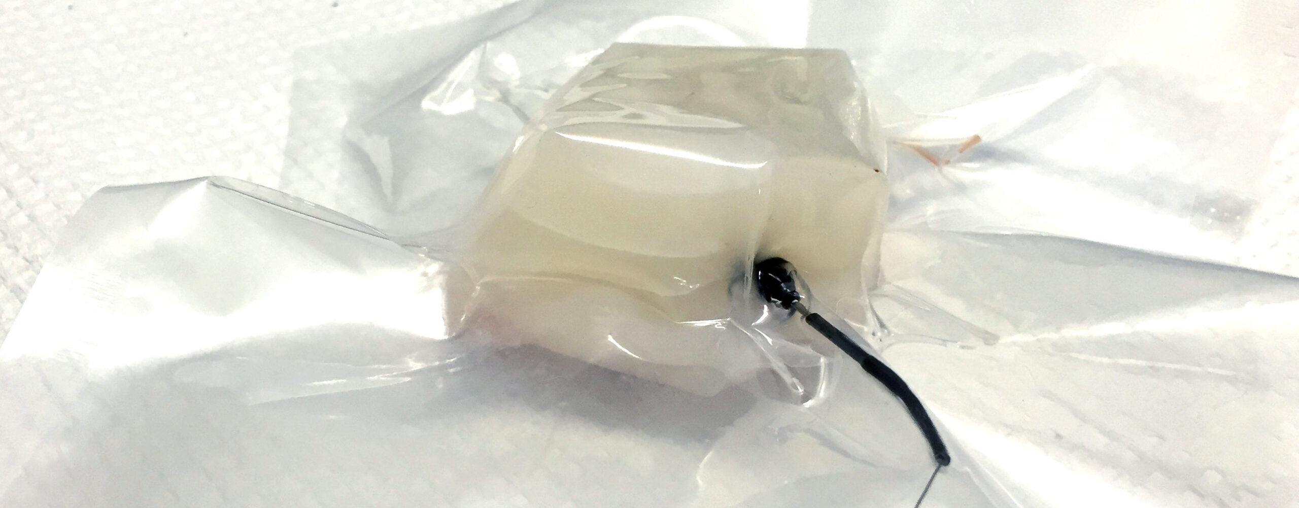 Best possible quality of portioned fish through freezing, thawing and ...