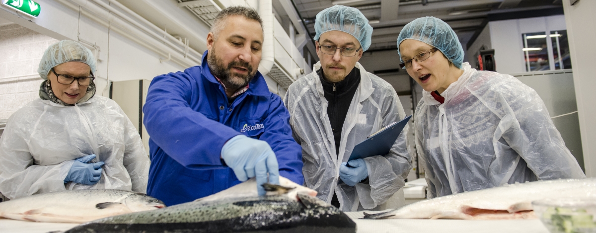 Seafood quality - Nofima