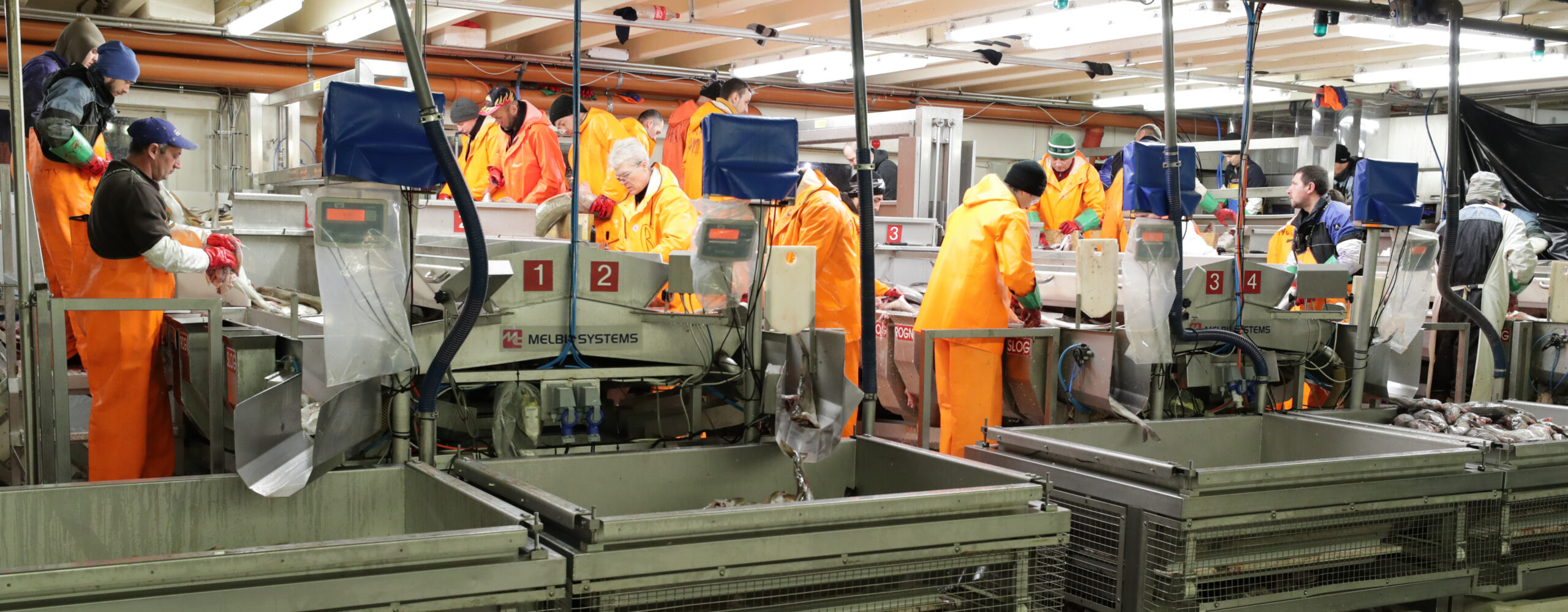 Documentation of social sustainability in the Norwegian seafood ...