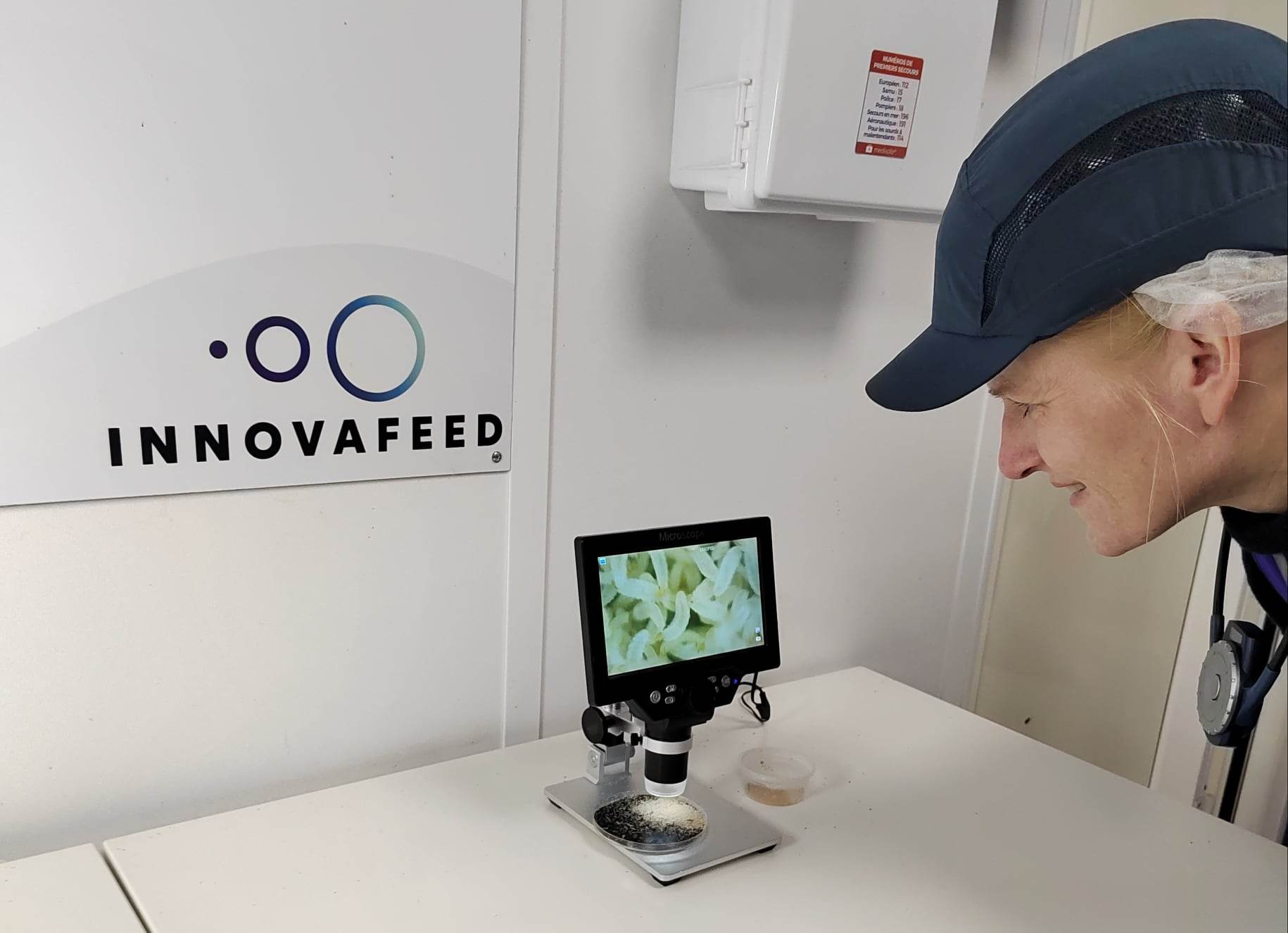 Microalgae and insect meal for sustainable feed - Nofima