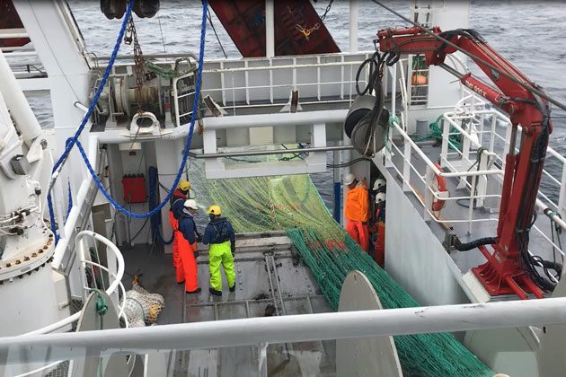 Testing pelagic trawl for wild catch of cod - Nofima