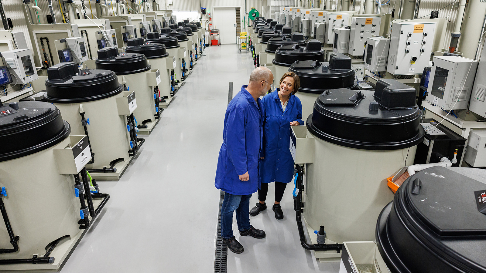 42 highlights from research on closed aquaculture systems - Nofima