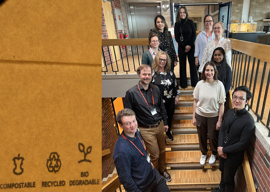 More food packaging based on cellulose fiber - Nofima