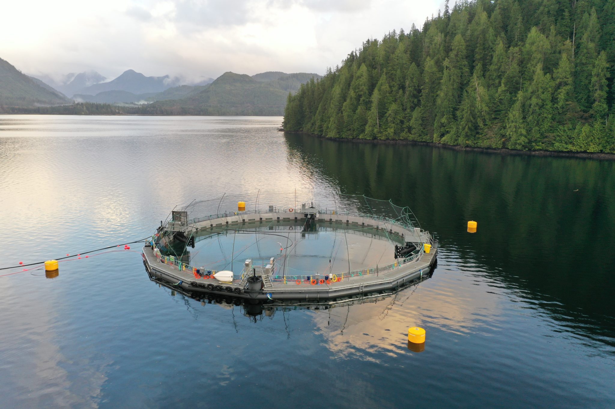 A brief overview of fish farming systems - Nofima