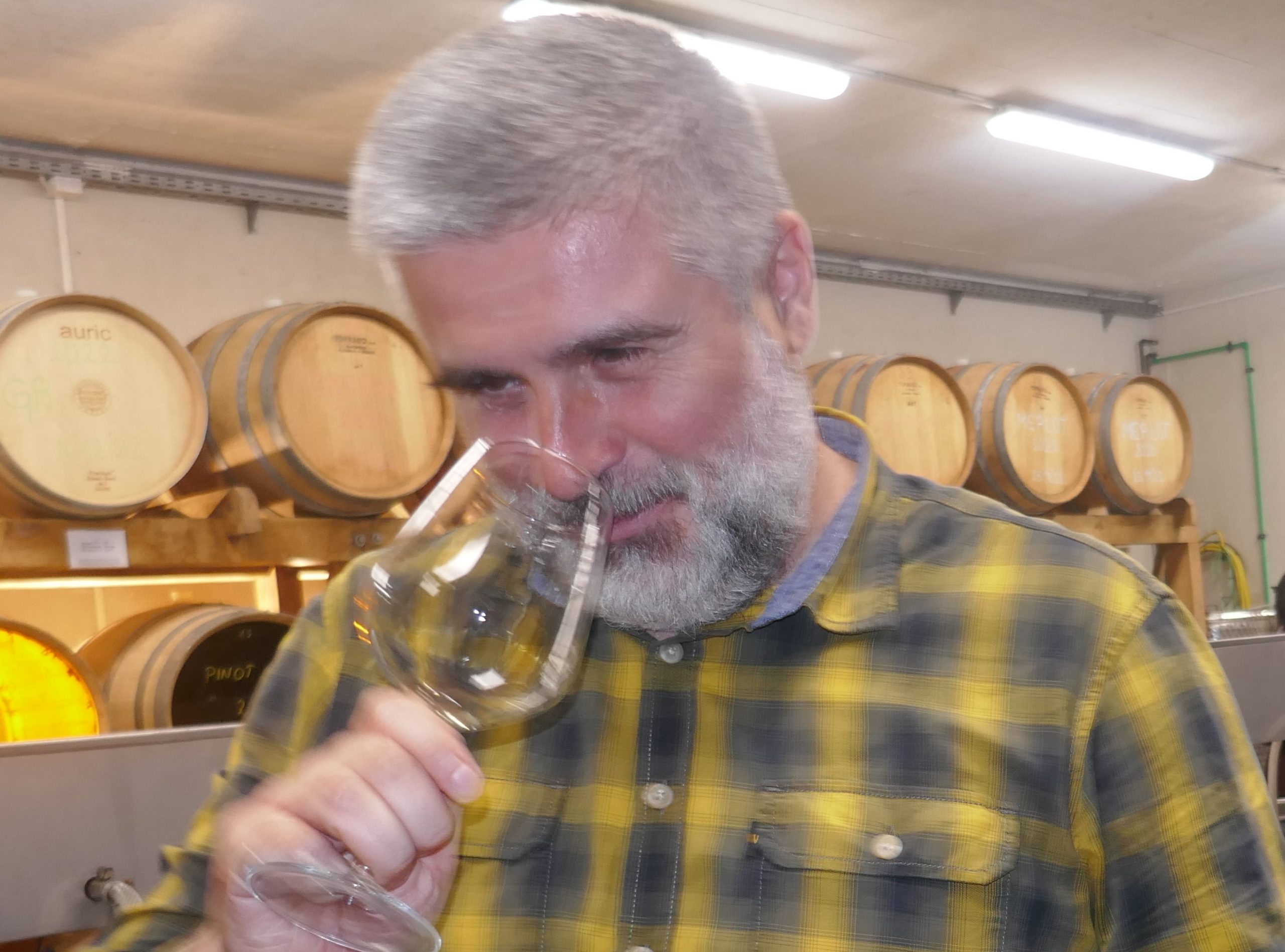 Solid taste knowledge of cider and wine is the key to success - Nofima