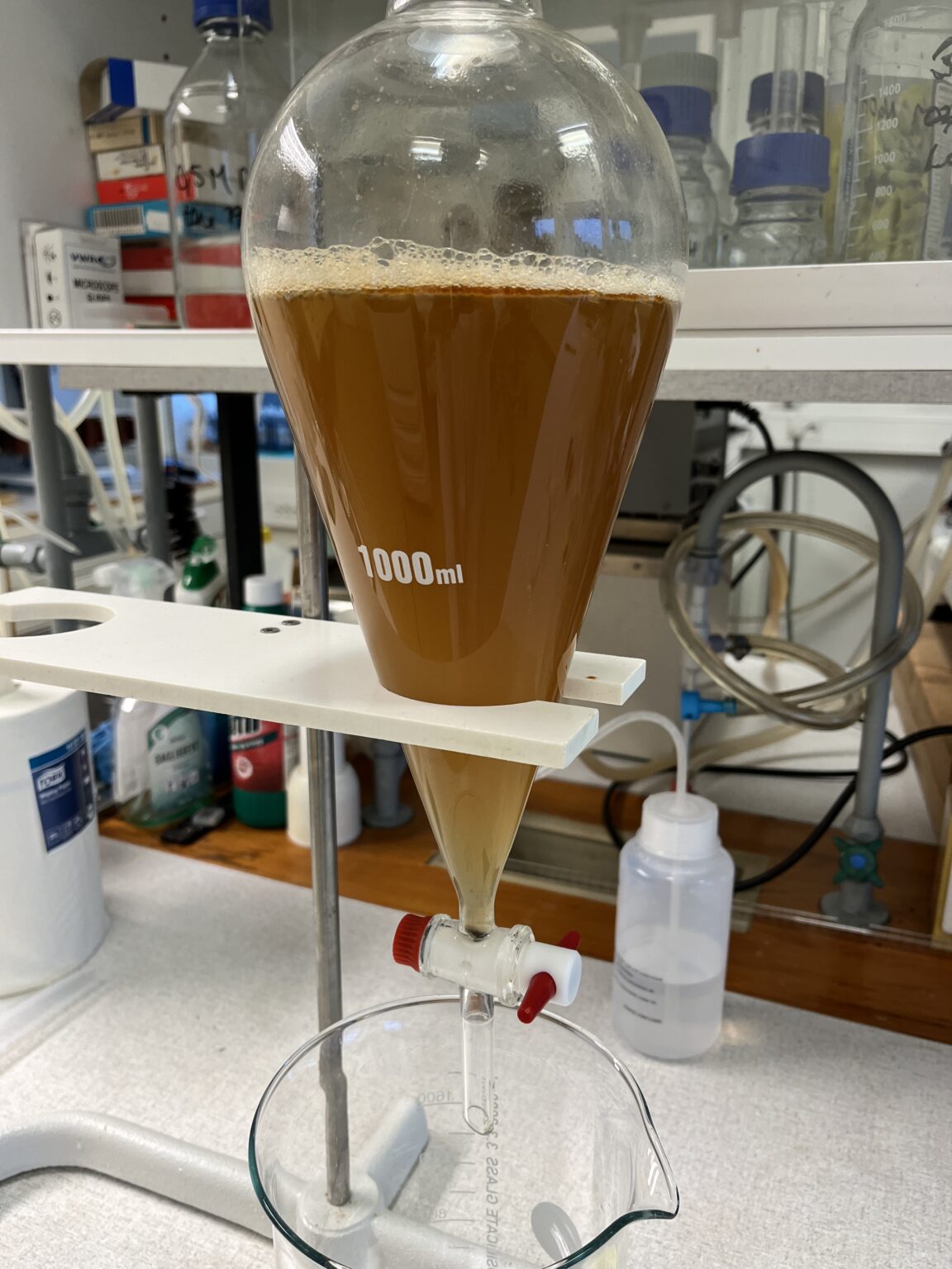 Deep-sea mesopelagic fish offer health benefits - Nofima