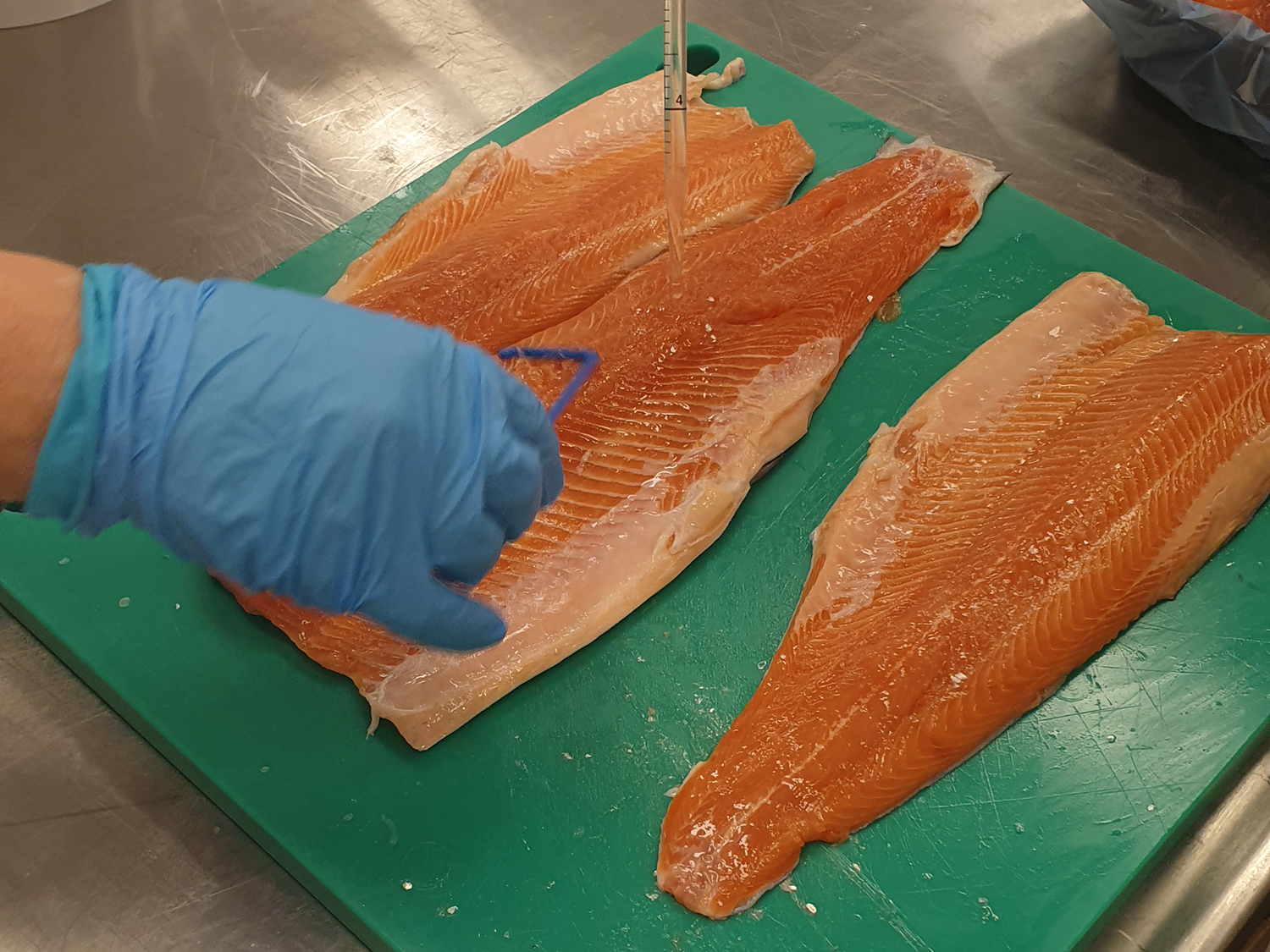 Production of safe rakfisk: How to avoid Listeria - Nofima